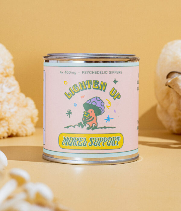 Home - Morel Support